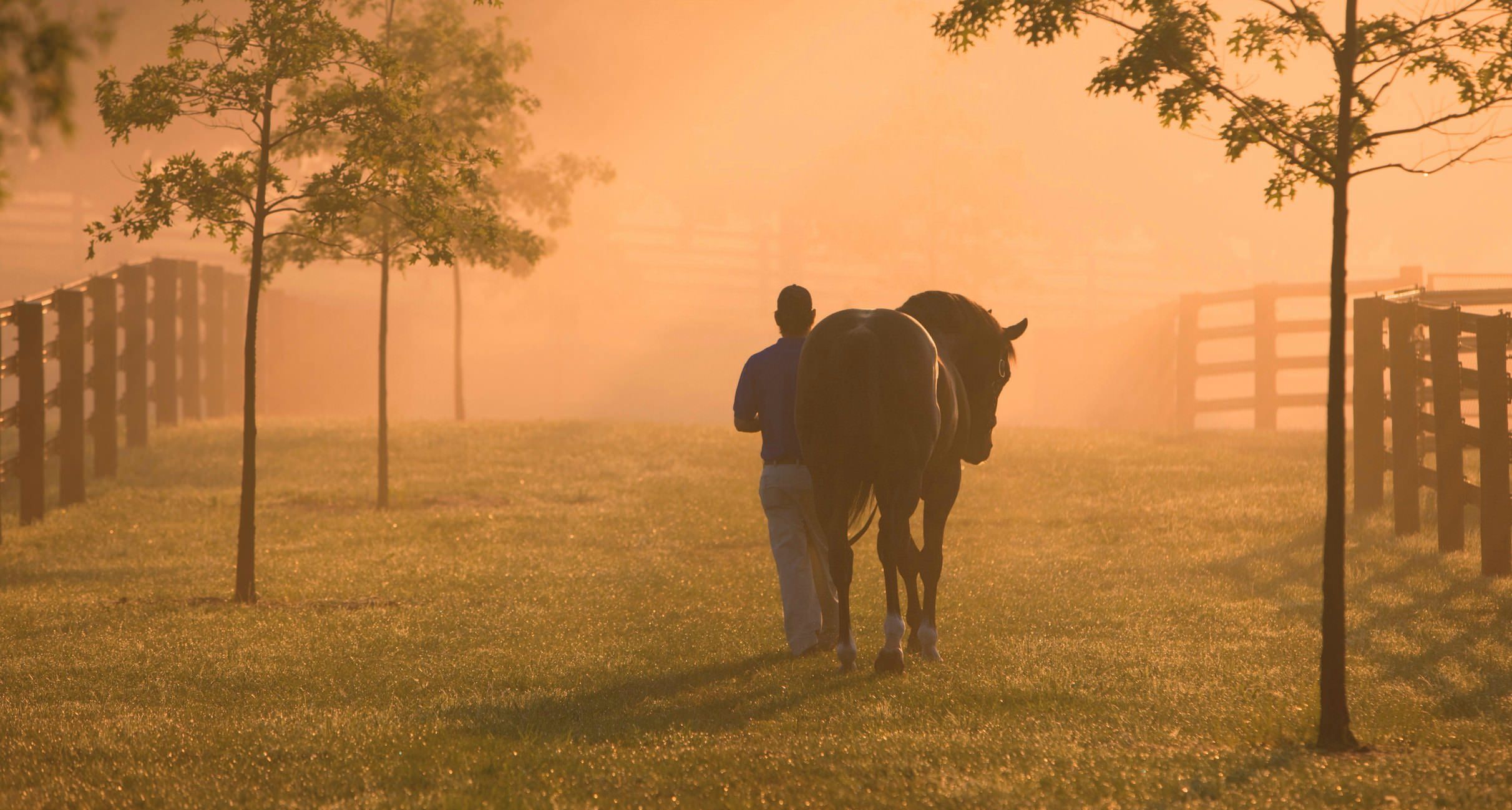 VISIT HORSE COUNTRY | EXPERIENCE THE BEST OF HORSE COUNTRY