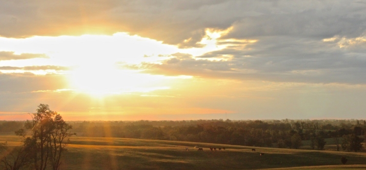 VISIT HORSE COUNTRY | EXPERIENCE THE BEST OF HORSE COUNTRY