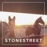 VISIT HORSE COUNTRY | Virtual Tours