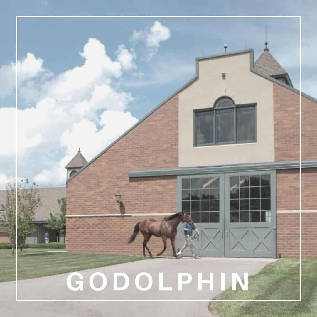 Virtual Tours - Visit Horse Country