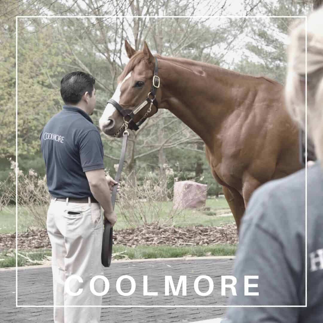 Virtual Tours - Visit Horse Country