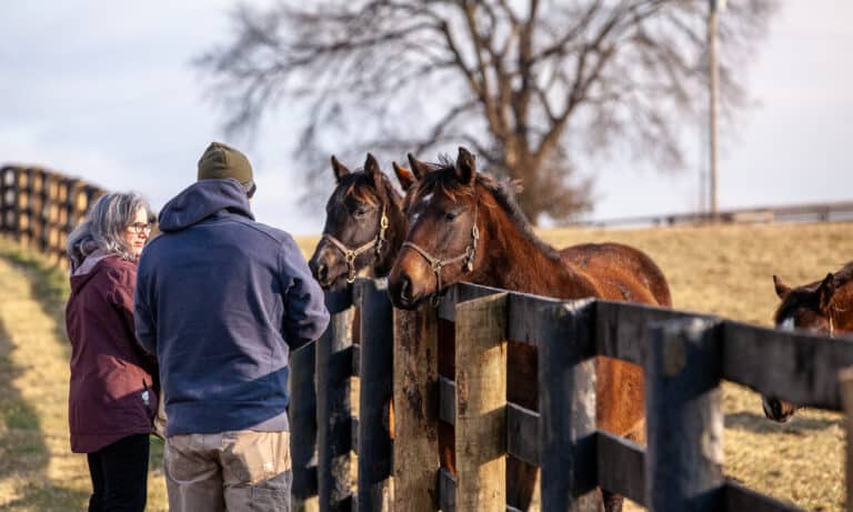 VISIT HORSE COUNTRY | Mill Ridge Farm
