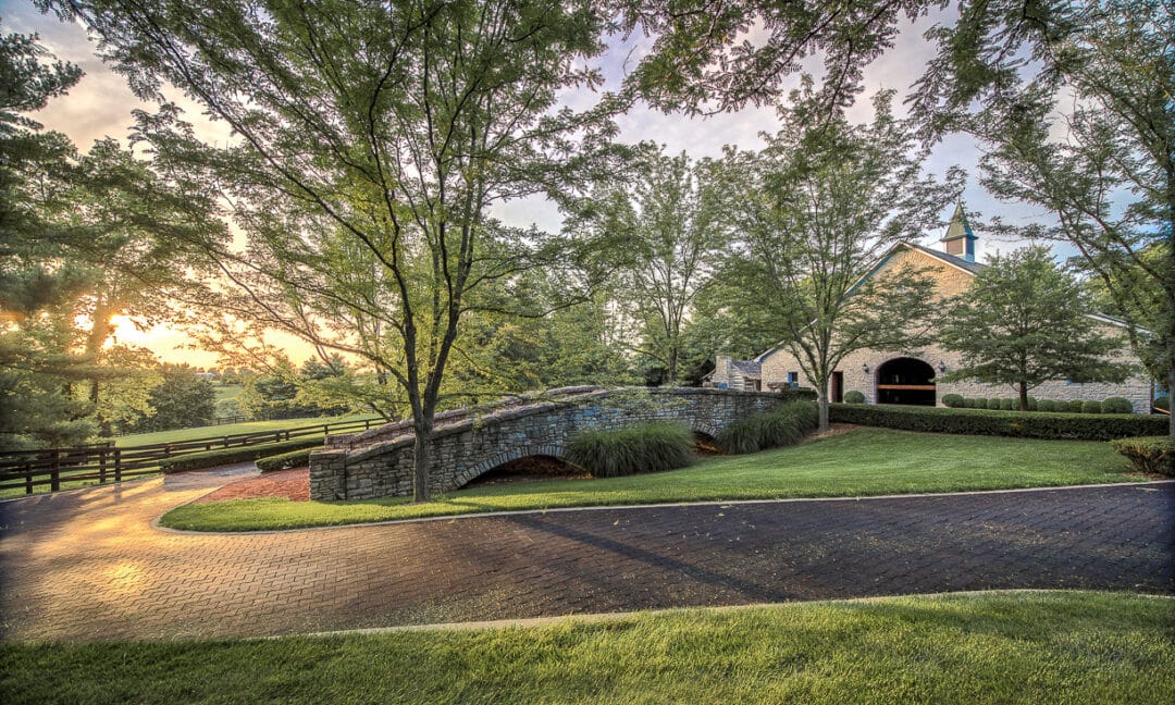 VISIT HORSE COUNTRY | Coolmore at Ashford Stud