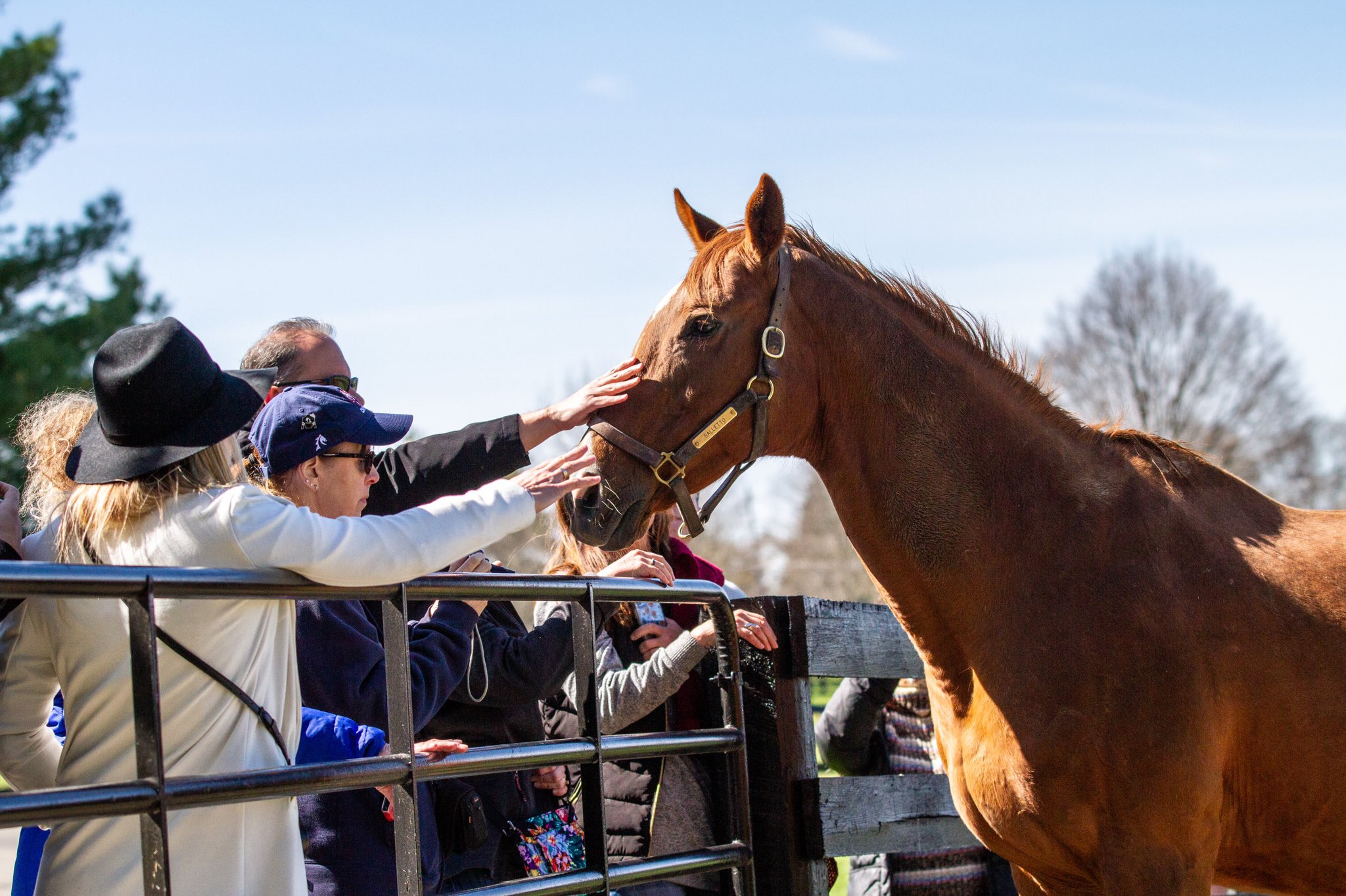 VISIT HORSE COUNTRY | EXPERIENCE THE BEST OF HORSE COUNTRY