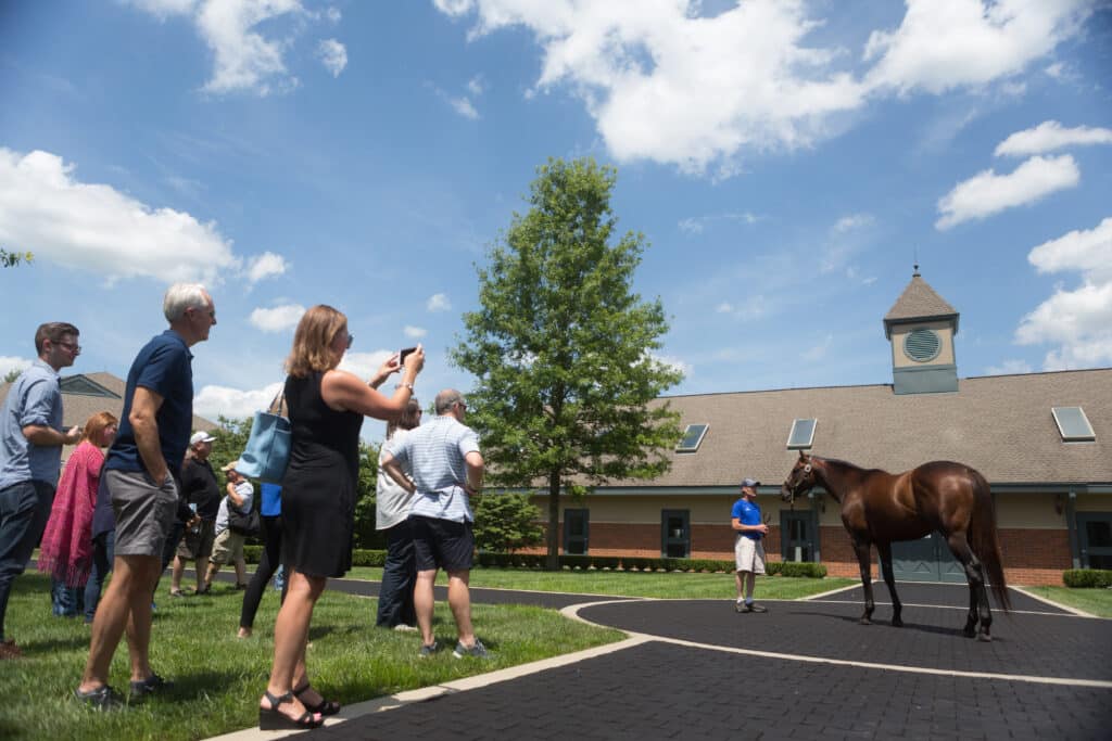 VISIT HORSE COUNTRY | Gallery
