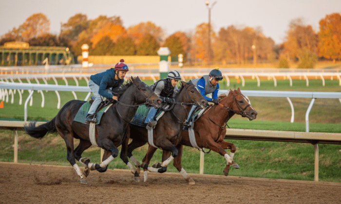 VISIT HORSE COUNTRY | Fall Guide to Horse Country