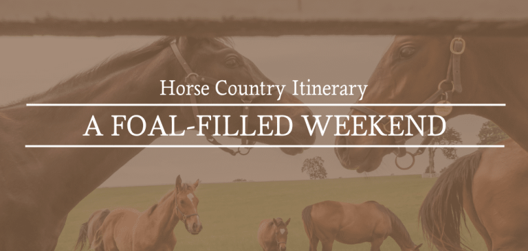 Foal-Filled Weekend Itinerary - Visit Horse Country