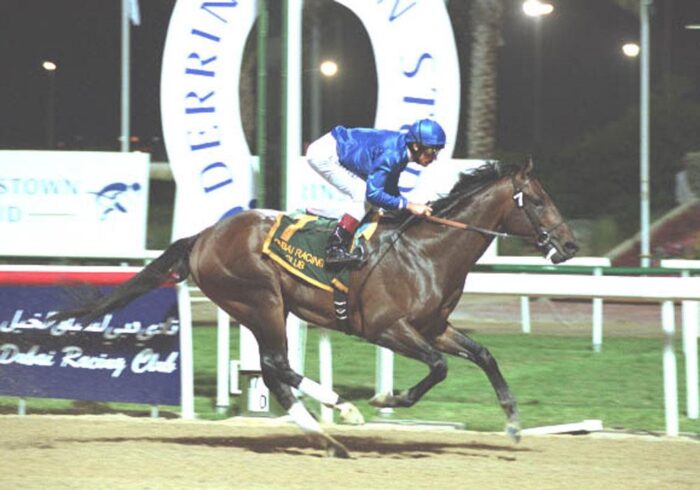 VISIT HORSE COUNTRY | Champion Connections: Street Sense