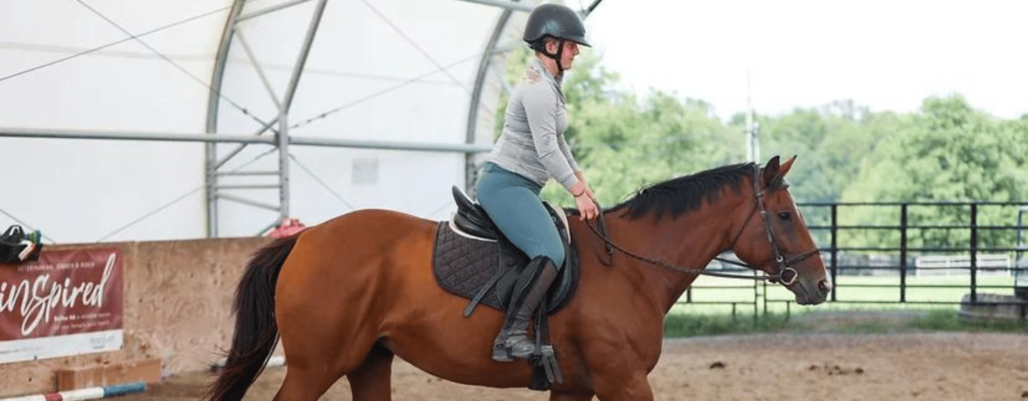 Derby Week Guide: Champion Stallions - Visit Horse Country