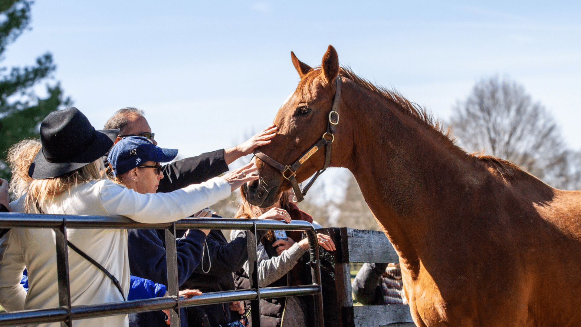 Visit Godolphin's Gainsborough Farm - Visit Horse Country