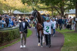 VISIT HORSE COUNTRY | Horse Country’s Guide to Keeneland