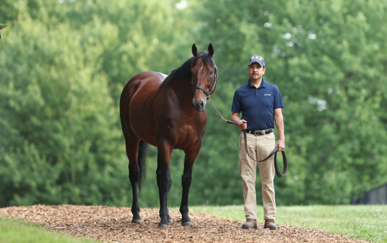 Coolmore at Ashford Stud - Visit Horse Country