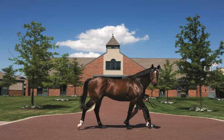 Godolphin - Visit Horse Country