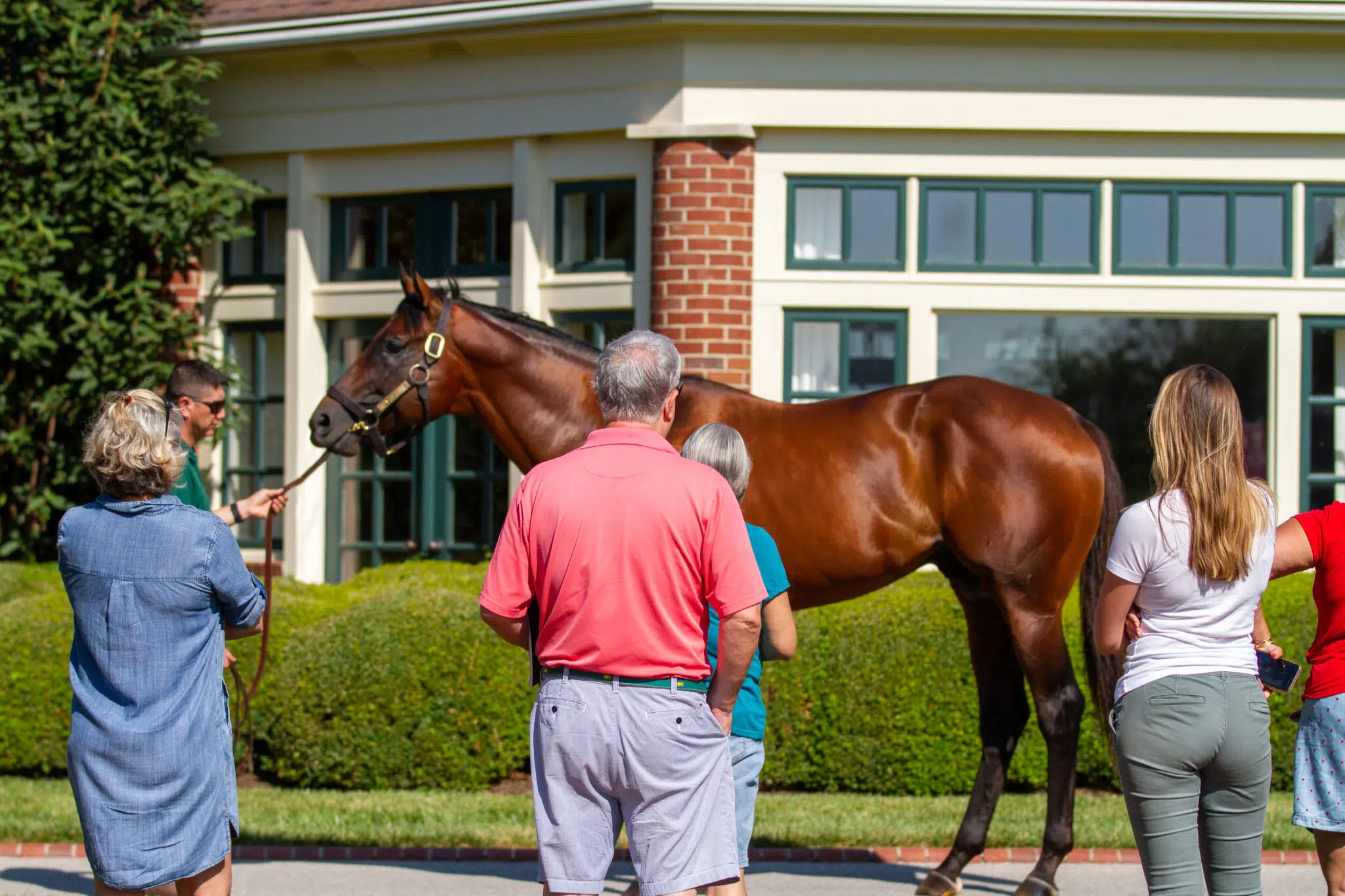 Part-Time Tour Guides - Visit Horse Country