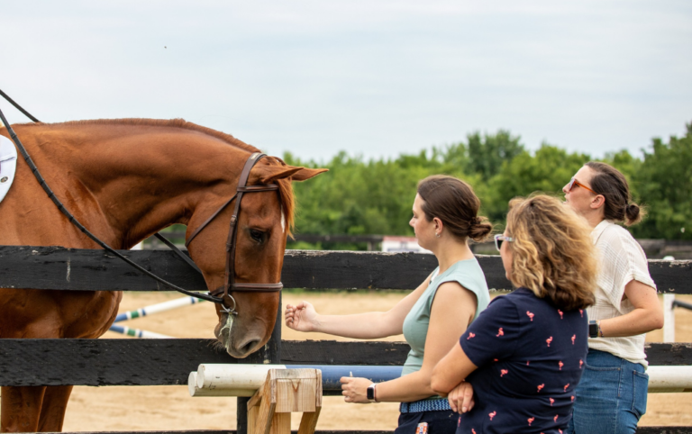 Secretariat Center - Visit Horse Country
