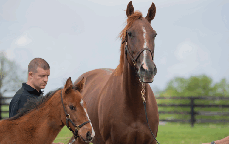 Lilies for the Fillies: Kentucky Oaks Winners In Horse Country - Visit ...