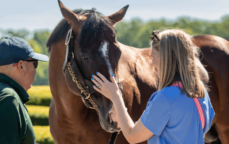 Bays and Bourbon: Pairing Horse Farm and Distillery Tours - Visit Horse ...