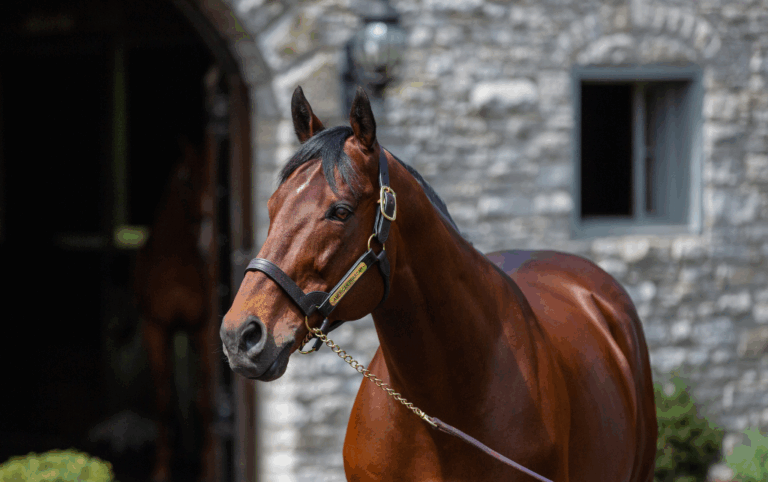 Bays & Bourbon: Pairing Horse Farm and Distillery Tours - Visit Horse ...