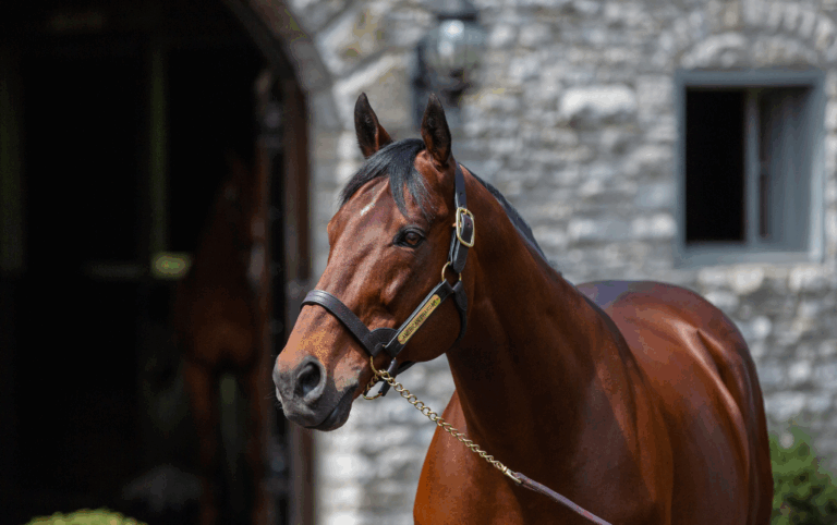 Plan Your Day Trip to Versailles, Kentucky - Visit Horse Country
